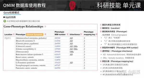 OMIM数据库使用教程免费领！文末免费领！ - 知乎