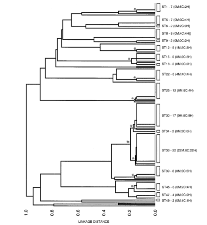 MLST：医院鉴定病原菌分型的必备方法！ - 知乎