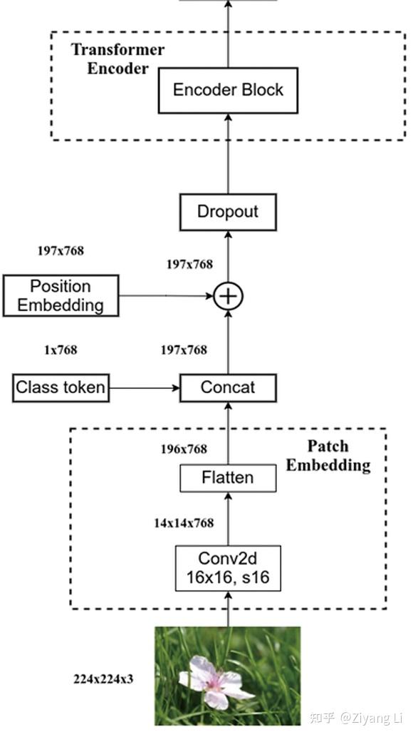 【Vision Transformer】超详解+个人心得 - 知乎