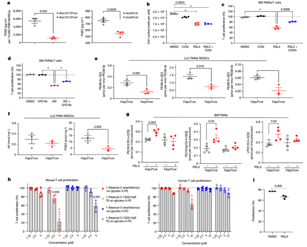 Nature ｜ 肿瘤中性粒细胞的铁死亡导致癌症中的免疫抑制 - 知乎