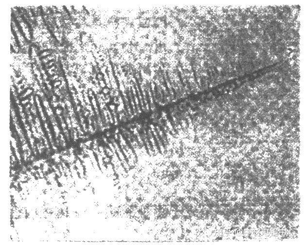 TEM（透射电镜）测试——纯晶体凝固结构（下） - 知乎