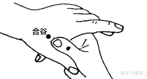 良艾--四总穴歌（精辟） 善用这4个穴位，你就是名医！ - 知乎