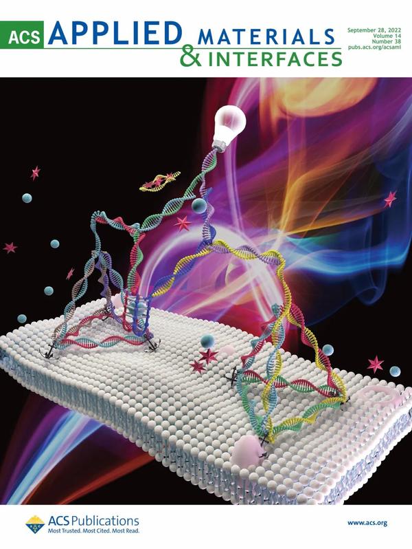 【安徽医科大学】彭湃课题组《ACS AMI》：细胞外环境原位生物成像的智能DNA逻辑门控传感器 - 知乎
