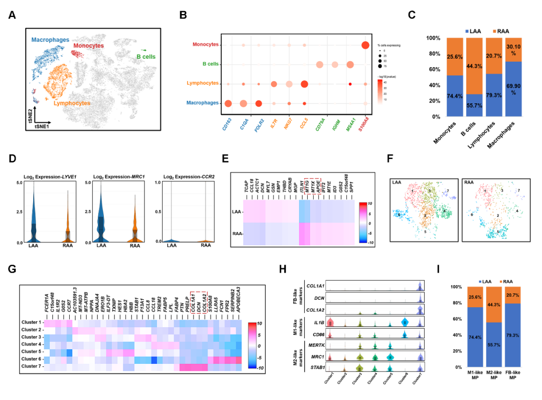 项目文章丨单细胞转录组测序揭示房颤左心耳血栓易感性形成机制 - 知乎
