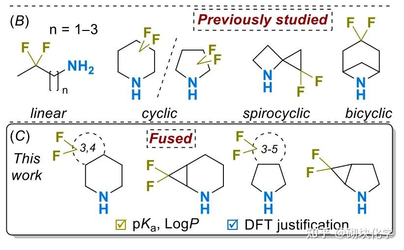 分子 pKa与LogP和结构的逻辑关系｜二氟饱和双环胺为例 - 知乎