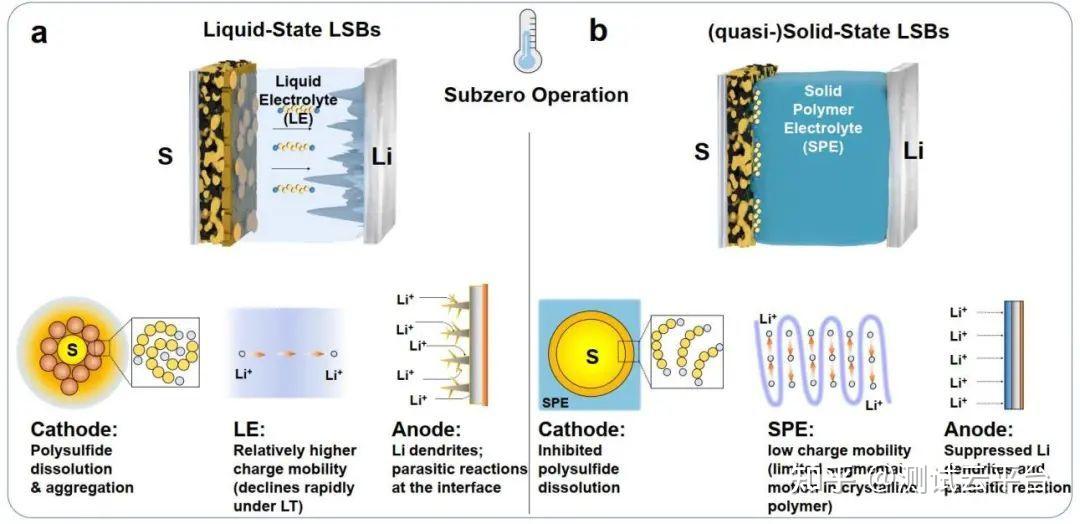 郭玉国/辛森，最新Angew！无惧“零”下！固态Li-S电池实现高性能 - 知乎