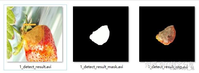 基于yolov8深度学习的智能草莓病害检测与分割系统【python源码pyqt5界面数据集训练代码】深度学习实战、目标分割 知乎