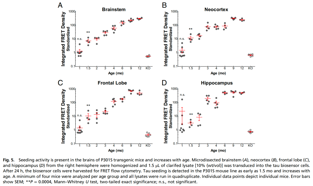 Tau P301S (PS19)小鼠｜AD模型 - 知乎
