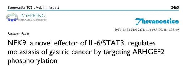 Theranostics:空军军医大学第一附属医院团队揭示NEK9在细胞骨架及胃癌转移中作用和机制 - 知乎