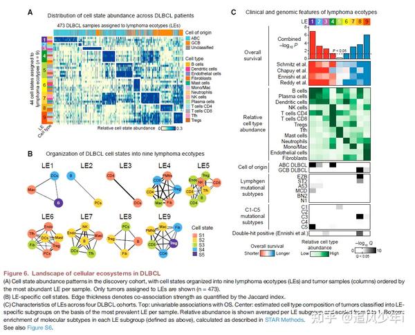 弥漫性B细胞淋巴瘤的肿瘤细胞状态和生态系统(单细胞空间) - 知乎