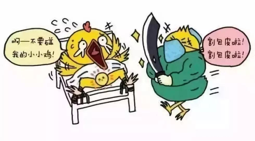 新生儿包皮割还是不割？ 知乎