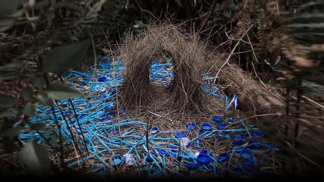 产品分享 | 19例以绿色环保为创作理念的产品设计创意欣赏 - 知乎