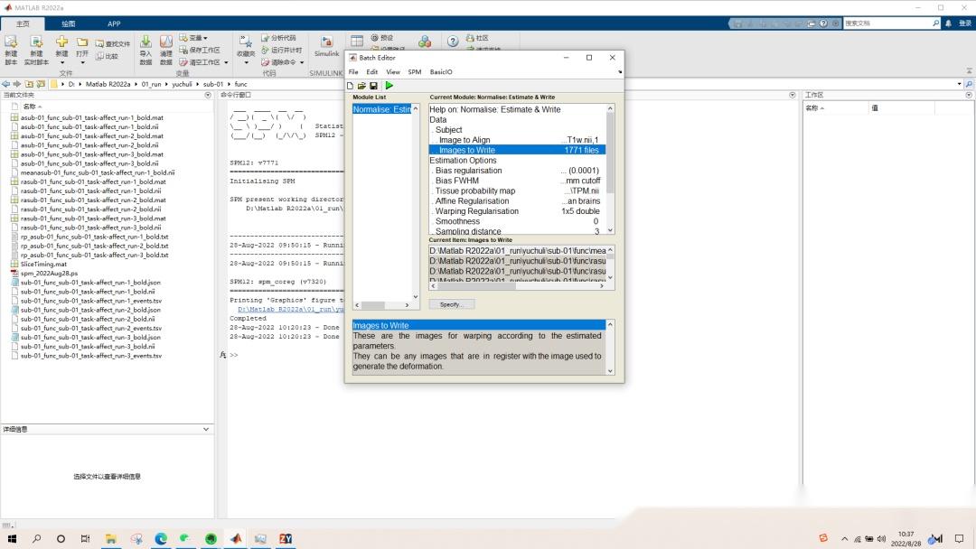 如何用SPM完成fMRI数据的预处理【任务态】 - 知乎
