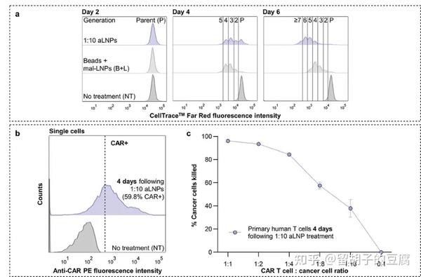 无需磁珠激活，aLNP偶联信号抗体，一步制备mRNA CART细胞 - 知乎