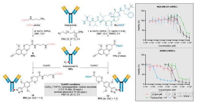 新型ADC链接linker：乙酰基环状缩醛结构 - 知乎
