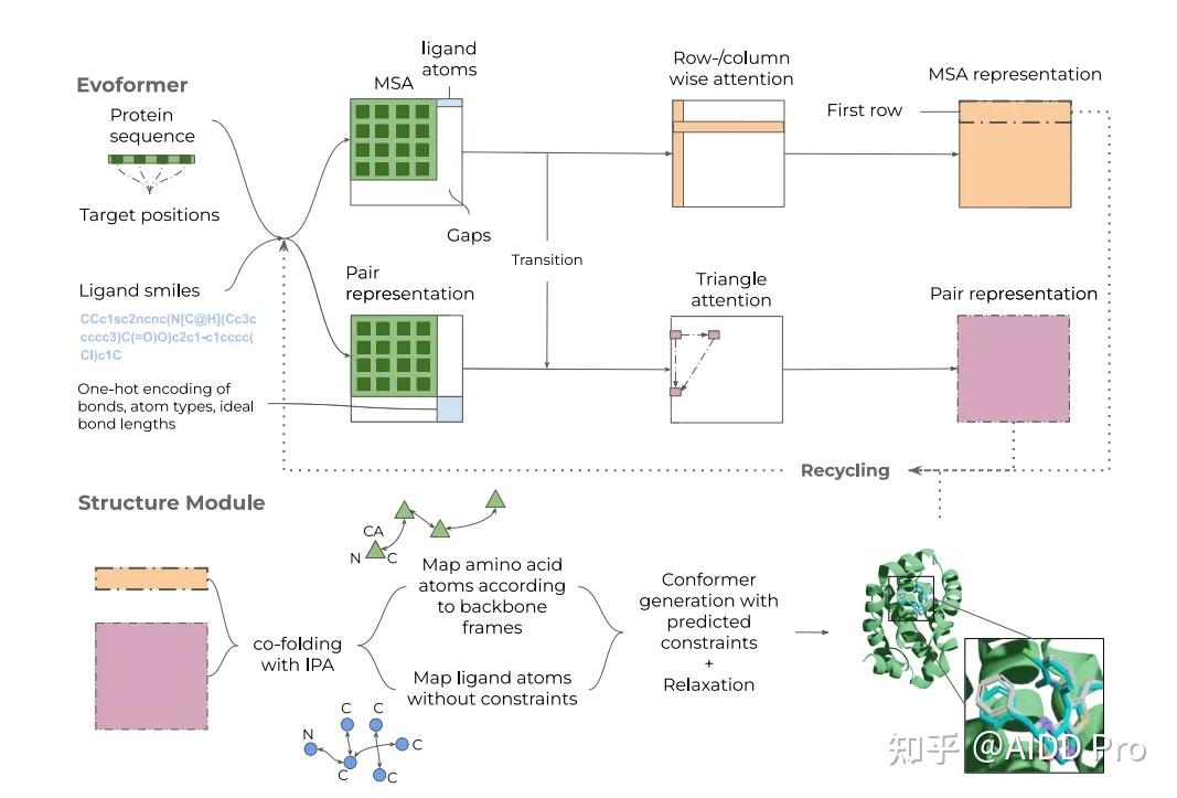 利用Umol序列信息预测蛋白质-配体复合物的结构 - 知乎