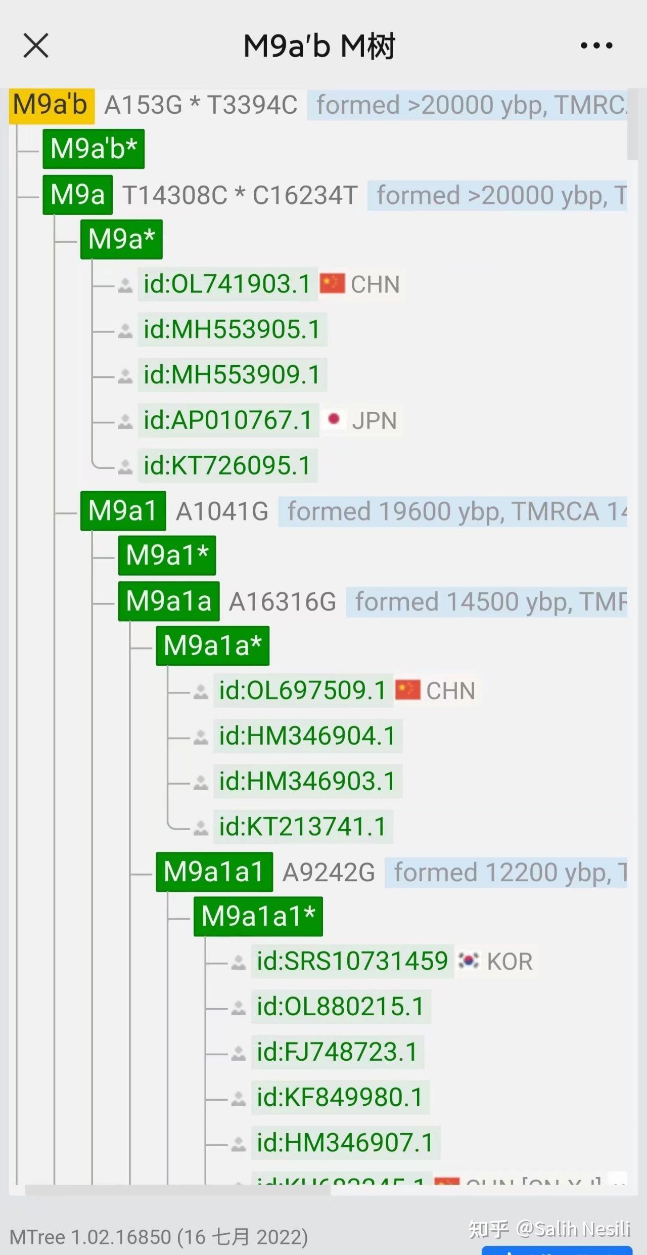 马保晟: 马鹿洞人的起源 - 知乎