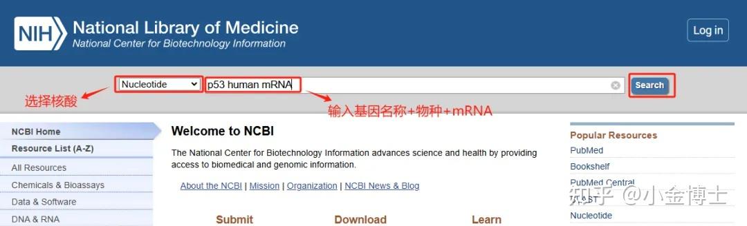 干货分享 |如何快速高效的设计siRNA？ - 知乎