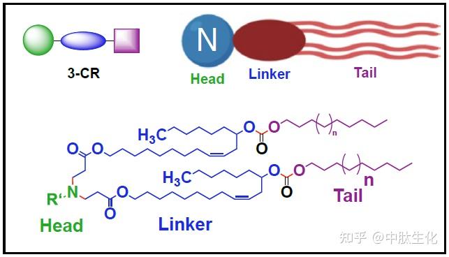 李博文等开发新型LNP载体，吸入后可实现对肺部的高效mRNA递送及基因编辑 - 知乎