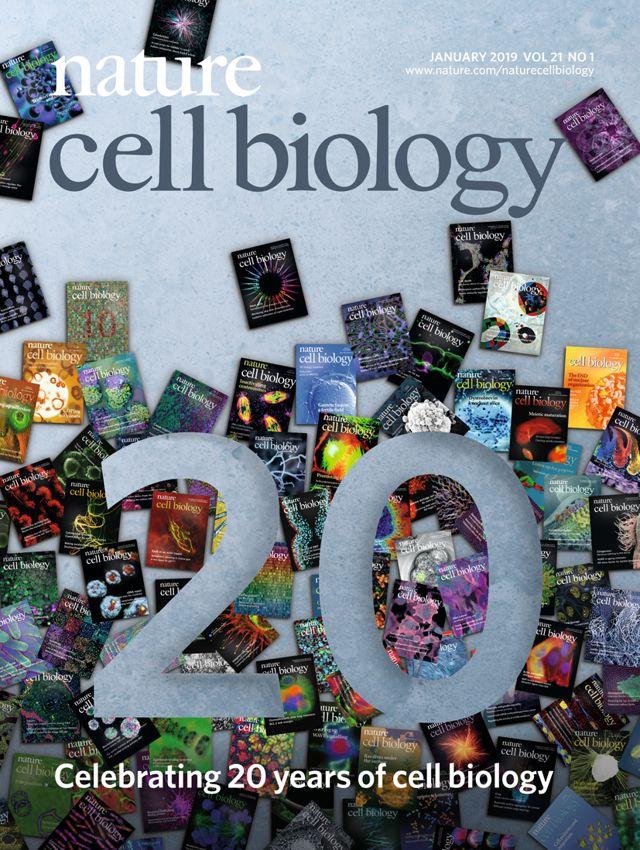 48张Nature1月子刊封面高清大图汇总，你最喜欢哪一张？ - 知乎