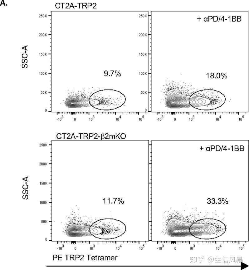 CD8+T细胞通过NKG2D-NKG2DL轴维持对MHC-I阴性肿瘤细胞的杀伤 - 知乎