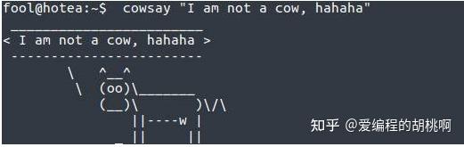 Linux 新手必会的21条命令合集 - 知乎