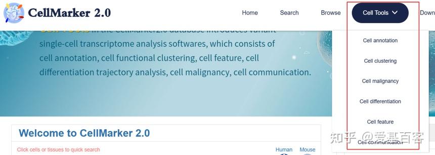 干货分享 | 如何使用单细胞标记的marker基因数据库Cell Marker2.0? - 知乎