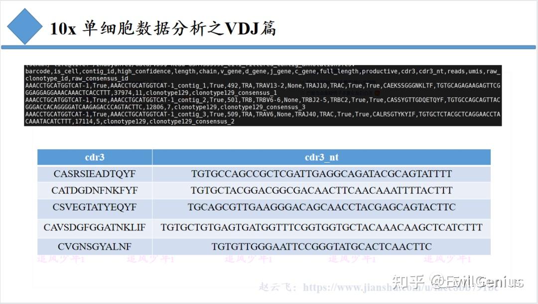 单细胞数据分析之VDJ篇公开课 - 知乎