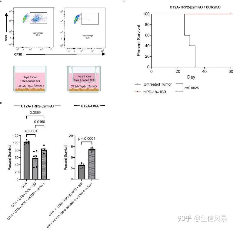CD8+T细胞通过NKG2D-NKG2DL轴维持对MHC-I阴性肿瘤细胞的杀伤 - 知乎