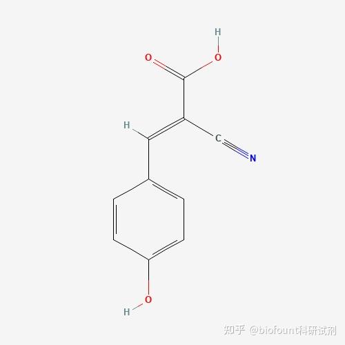 CHC；单羧酸转运抑制剂 - 知乎