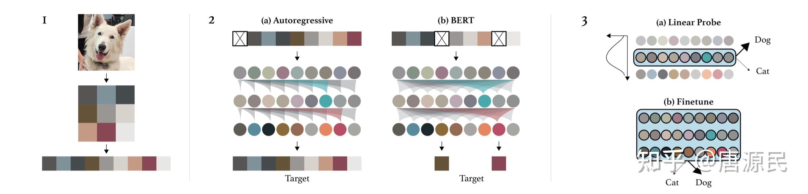 Masked Autoencoders Are Scalable Vision Learners ｜ 视觉自监督预训练（附进展梳理） - 知乎