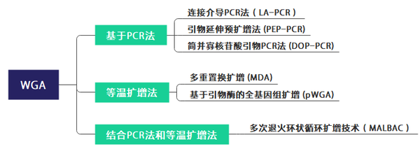 #微观探索人体奥秘# 039 单细胞测序——单细胞全基因组测序 - 知乎