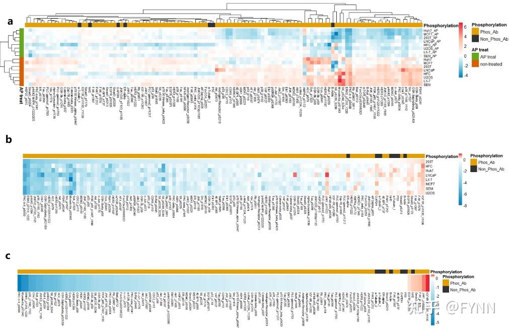 非因RPPA转化医学研究成果 | FFPE样本在肿瘤个体化诊疗中的应用研究 - 知乎