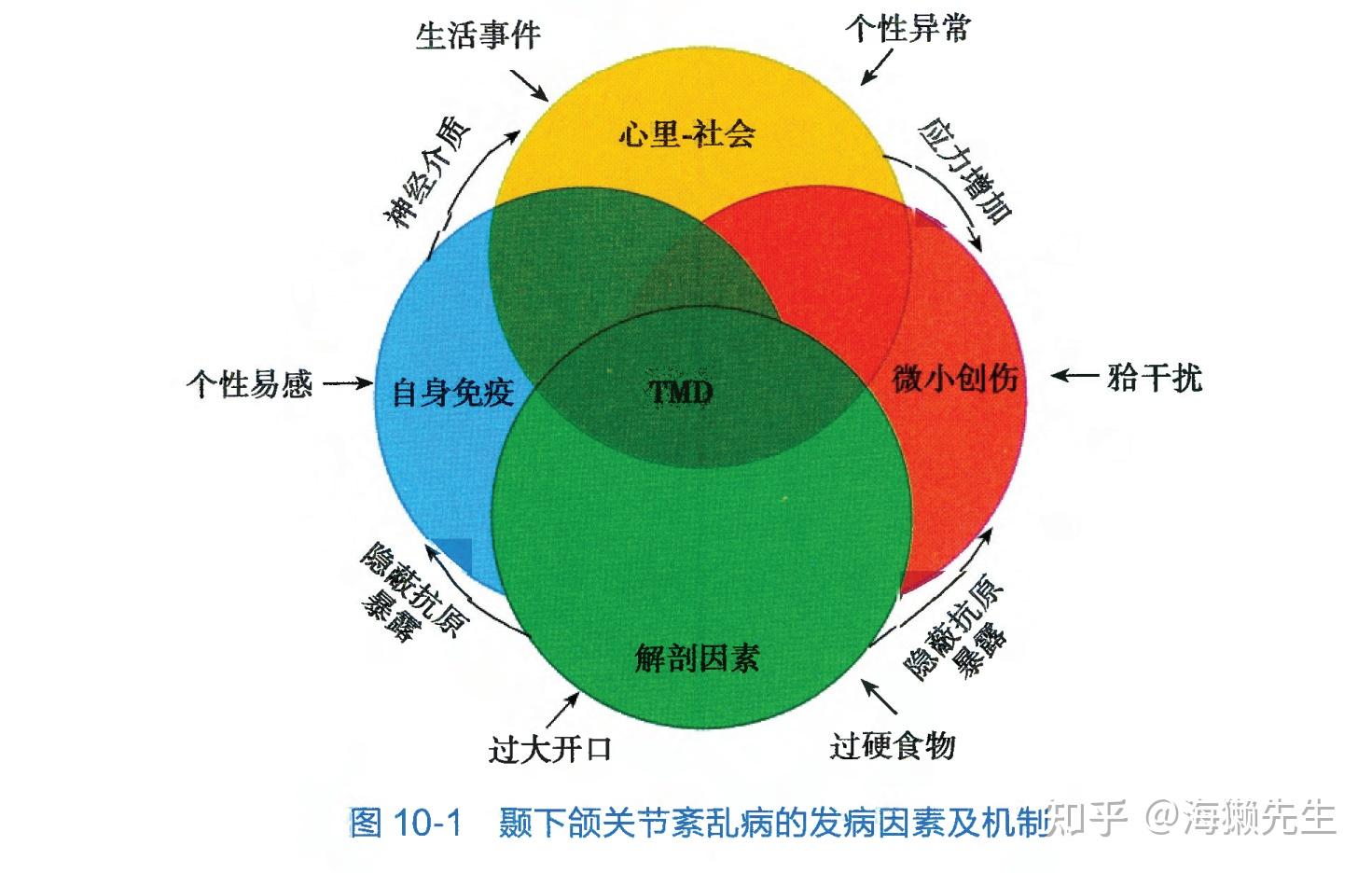 精致和摆烂——科普TMD颞下颌关节紊乱病的自我保健方法 - 知乎