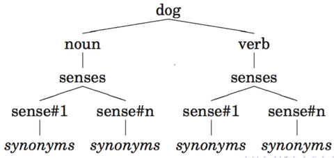 NLP wordnet - 知乎