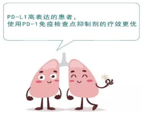 科普|PD-1/PD-L1抑制剂 - 知乎
