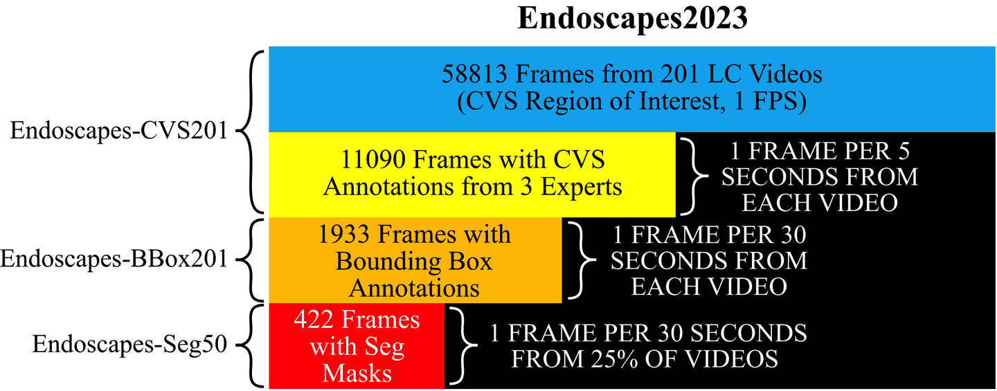 Endoscapes 数据集介绍 - 知乎