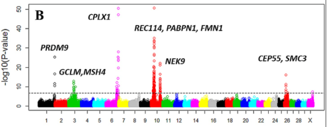 GWAS分析效果好坏重点是看QQ图 - 知乎