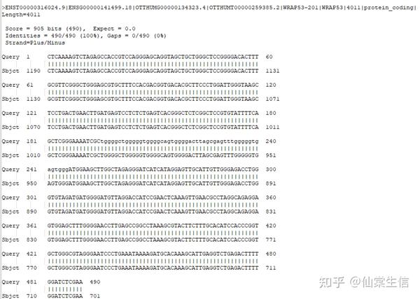 BLAST的本地安装和简单使用 - 知乎