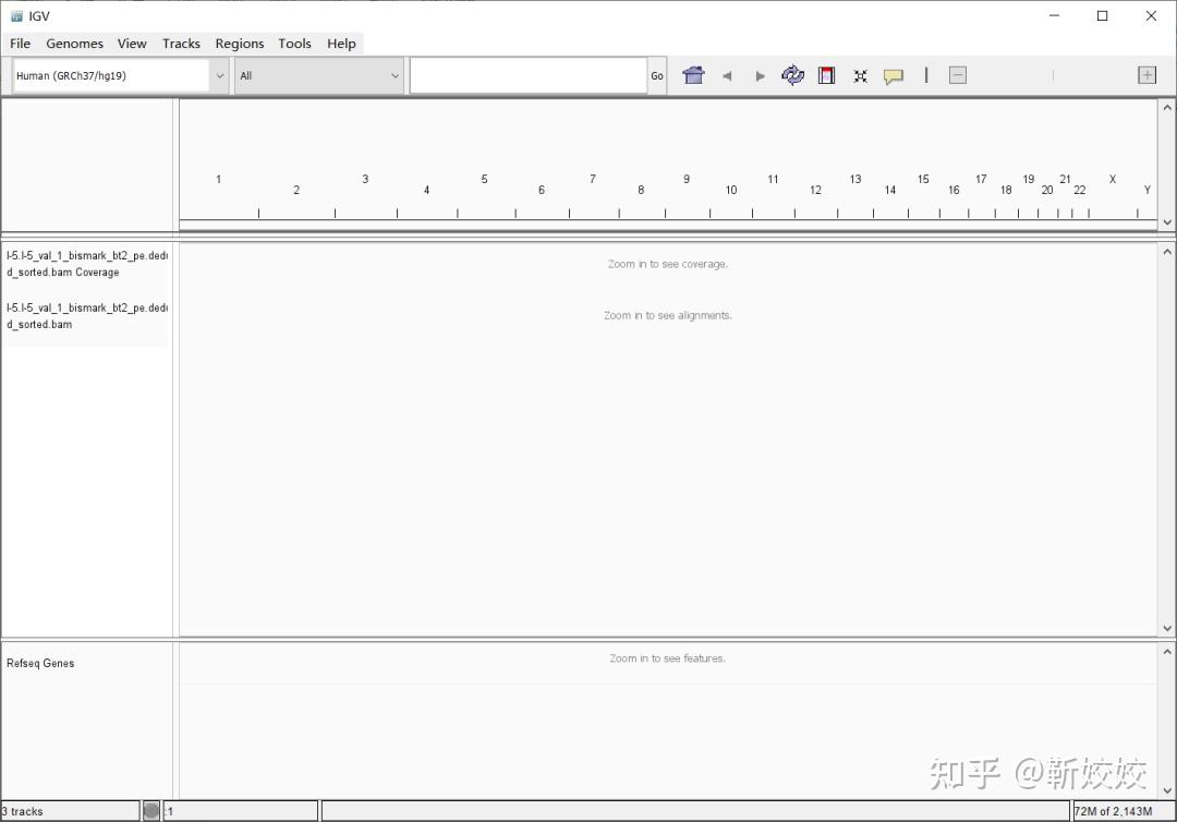 IGV快速上手指南（五）——查看甲基化数据 - 知乎