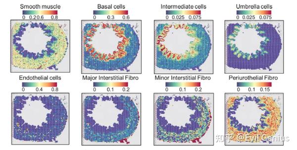 单细胞空间联合分析方法之文献运用篇 - 知乎