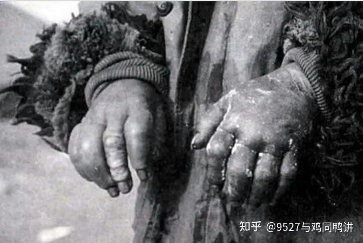 日军731部队的每一个实验都令人发指 - 知乎