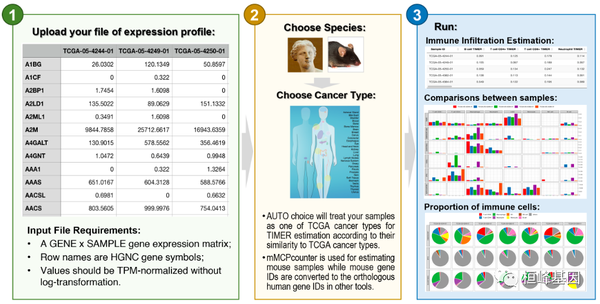 RNA 29. SCI文章中基于TCGA的免疫浸润细胞分析 (TIMER2.0) - 知乎