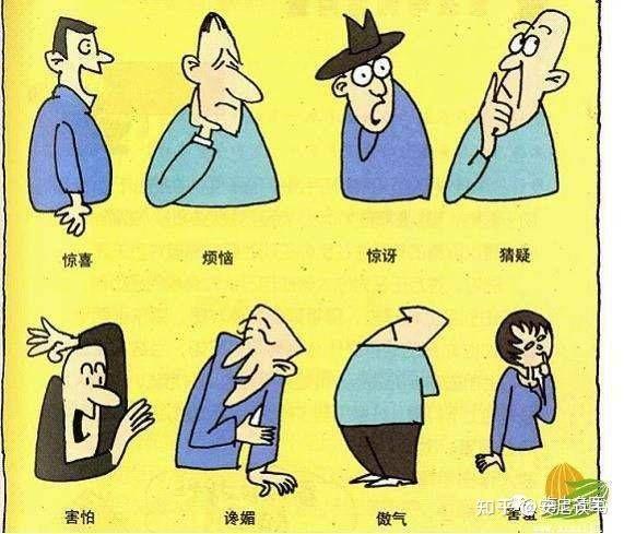 身体语言——身体是最诚实的 知乎