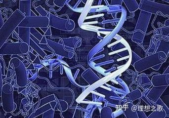 美国w+nmn正确指南:刚开始吃NMN有什么副作用，nmn抗衰副作用 - 知乎