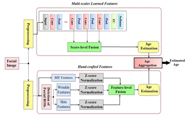 一篇弄懂人脸年龄估计 - 知乎