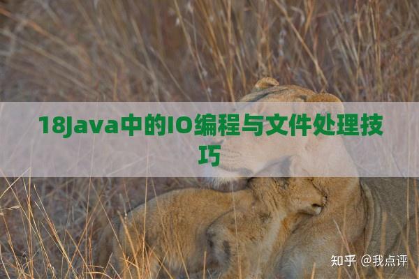 18java中的io编程与文件处理技巧 知乎