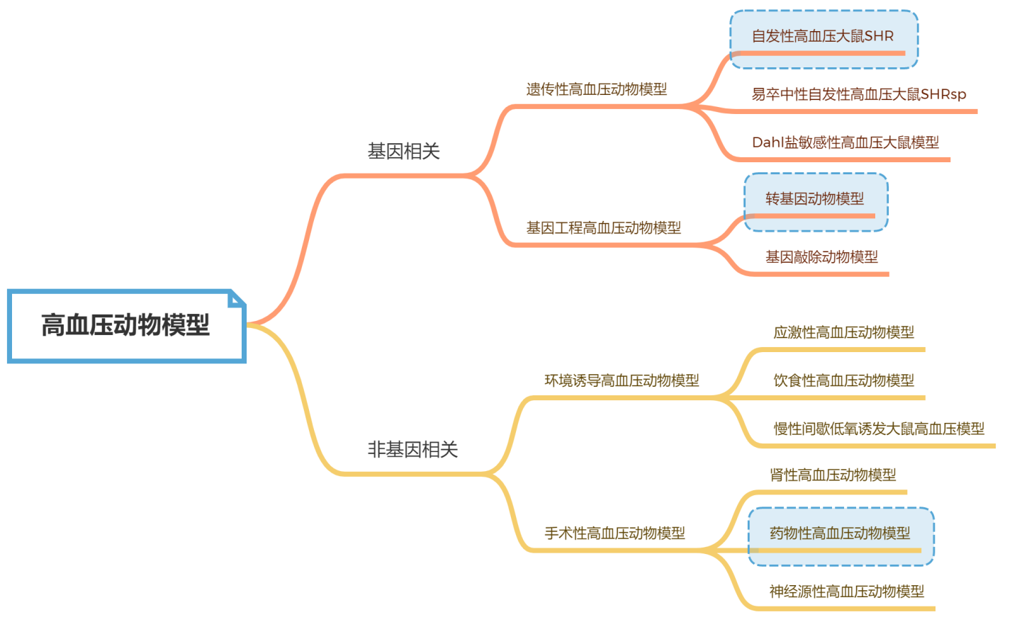 高血压研究必备工具之动物模型 - 知乎