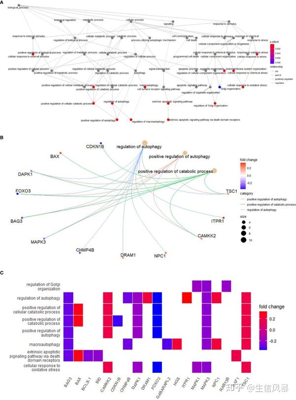 自噬能做生信吗？5+自噬相关基因生信解读 - 知乎
