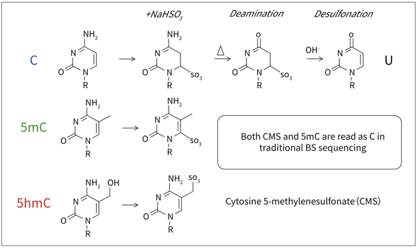 项目集锦 | 易基因DNA羟甲基化5hmC测序研究成果 - 知乎